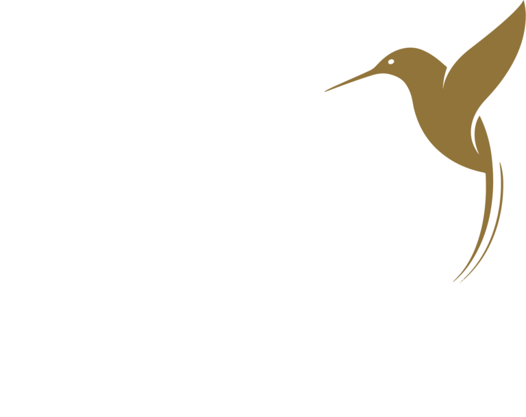Início - Bom Sabor